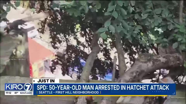 Man arrested after hatchet attack in Seattle