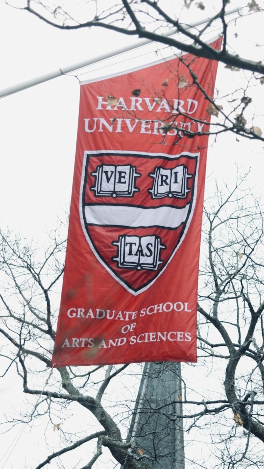 Learn finance from the best, 5 online courses by Harvard to consider in ...