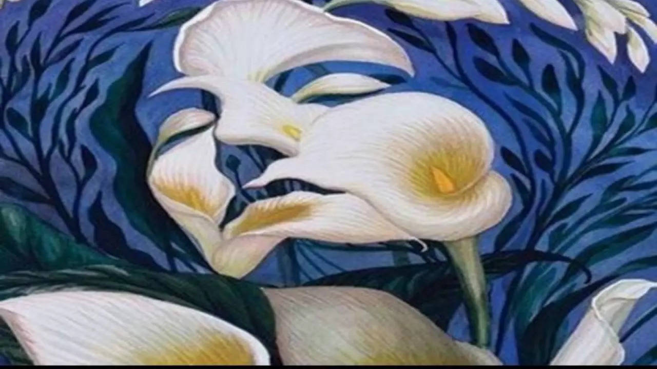 Optical illusion personality test: Flowers or woman? What you see first ...
