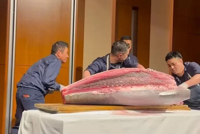 다저스 동료들에게 177kg짜리 ‘참치’ 쏜 오타니... 日 초밥 장인까지 초청했다