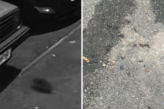 Warrington street is so 'overrun with rats' that children can't even ...