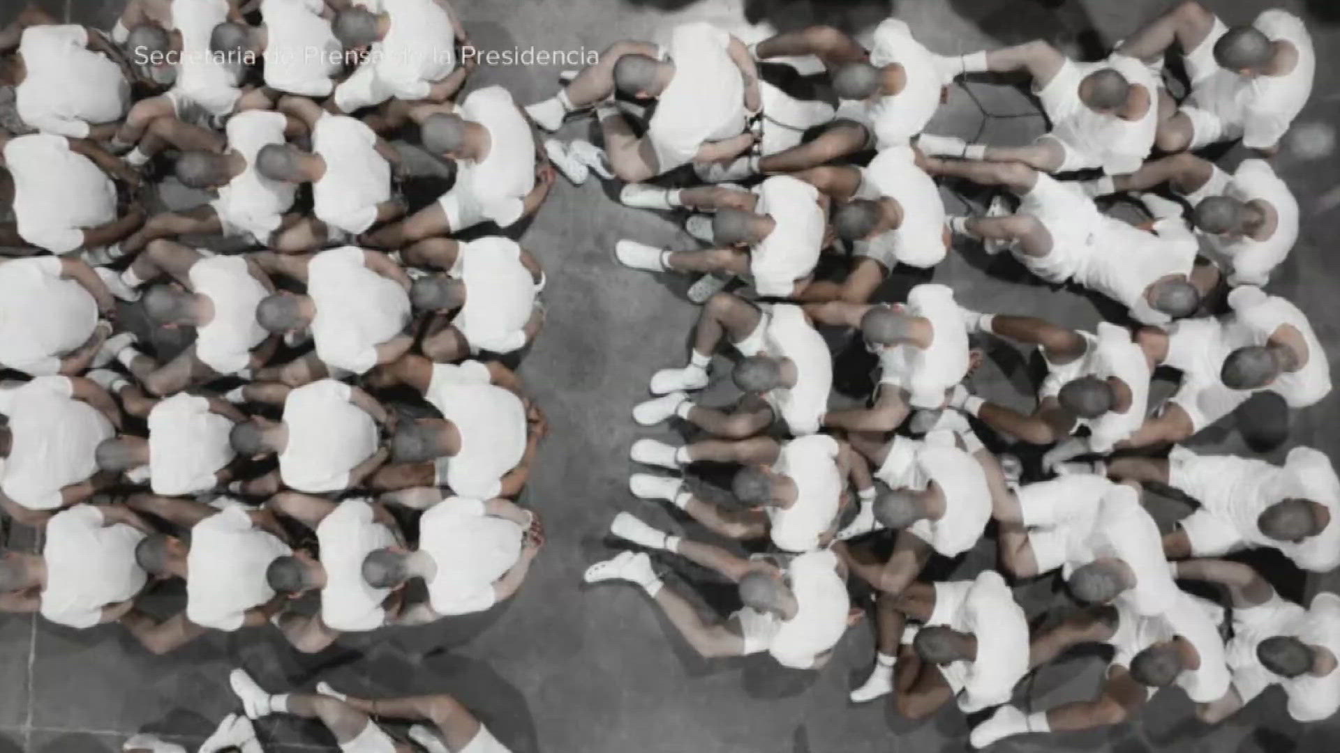 Hundreds of alleged Venezuelan gang members deported by Trump ...