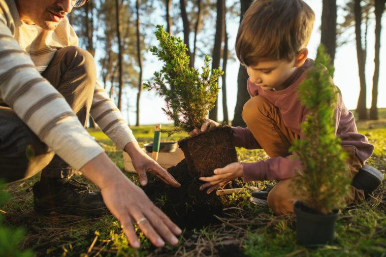 I tried the Nordic art of dugnadsånd for a week – I’m happier and less ...