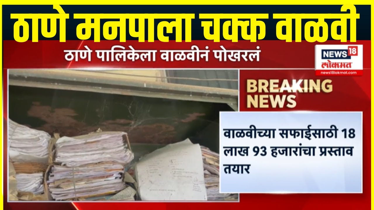 Thane TMC Breaking News: ठाणे मनपातील फर्निचर आणि फाईलिंना लागली वाळवी