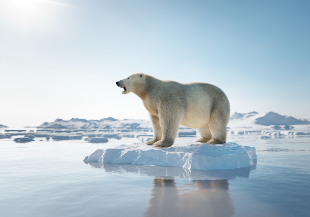 10 Critical Ecosystems on the Verge of Complete Collapse (And What That ...