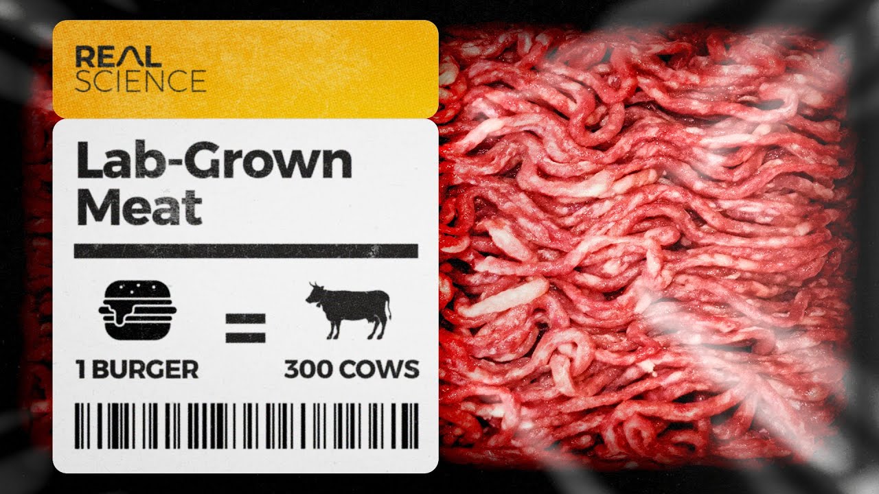 The Truth About Lab-Grown Meat