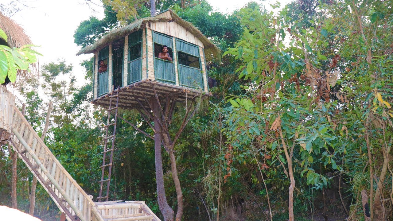 Building a Treehouse in the Wild to Stay Safe from Wildlife