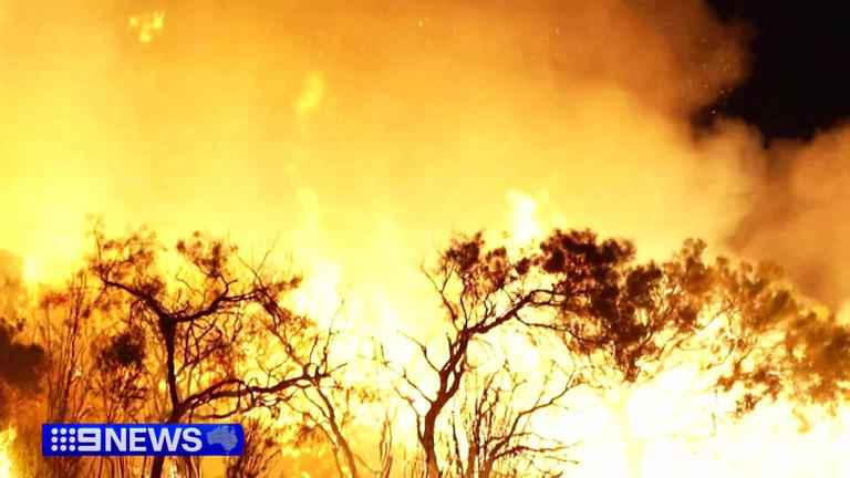 'Wall of flames': Caravan park evacuated as bushfire raged