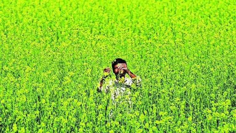 Parliamentary panel proposes minimum support price for organic crops ...