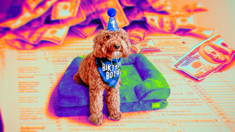 Pet Expenses Could Save You Money on Your Tax Bill. What Can You Write Off?