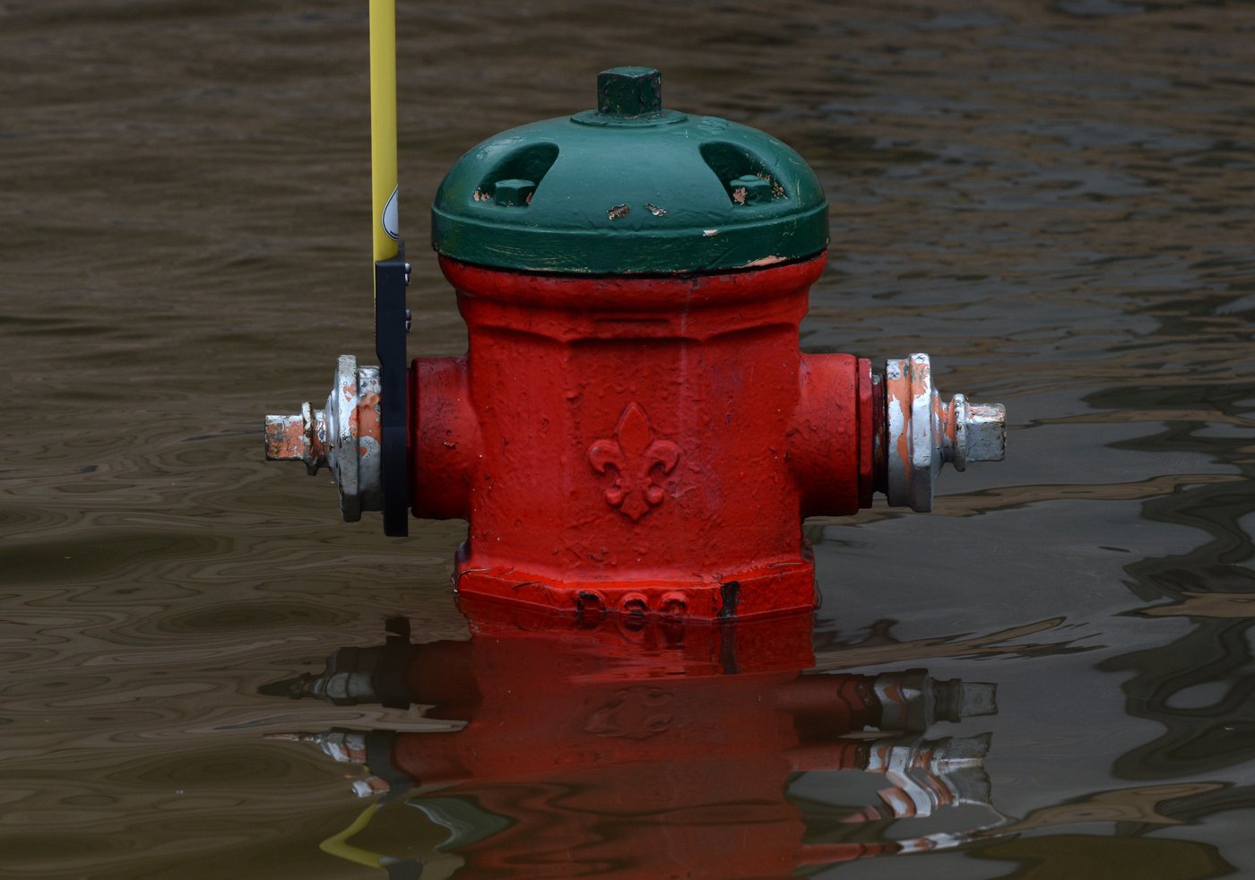 Le redoux et la pluie ont fait sortir des rivières de leur lit
