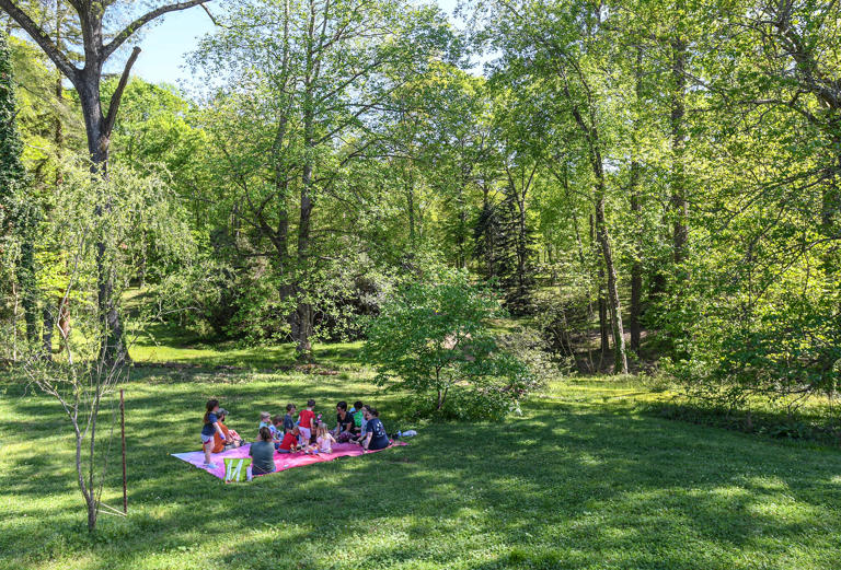 These Upstate small towns are most scenic for nature lovers: Where to ...