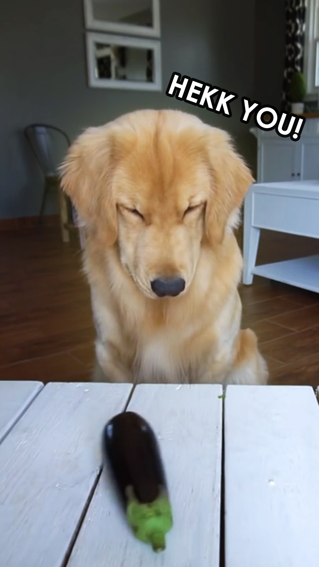 ASMR Taste Test Gone Wrong! | Tucker's Hilarious Reaction