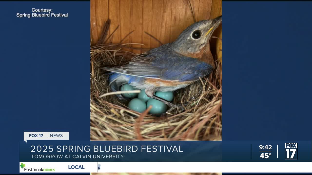 Saturday's for the birds: Spring Bluebird Festival March 15