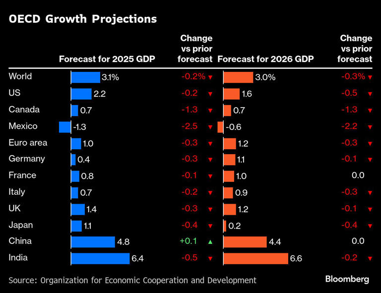Trump’s Trade Wars Tip World to Slower Growth, OECD Warns
