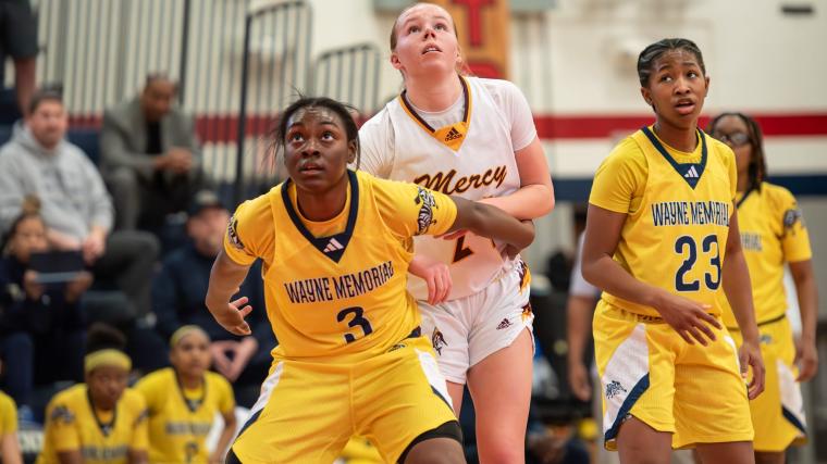 Michigan (MHSAA) girls basketball state playoffs brackets: Schedules ...