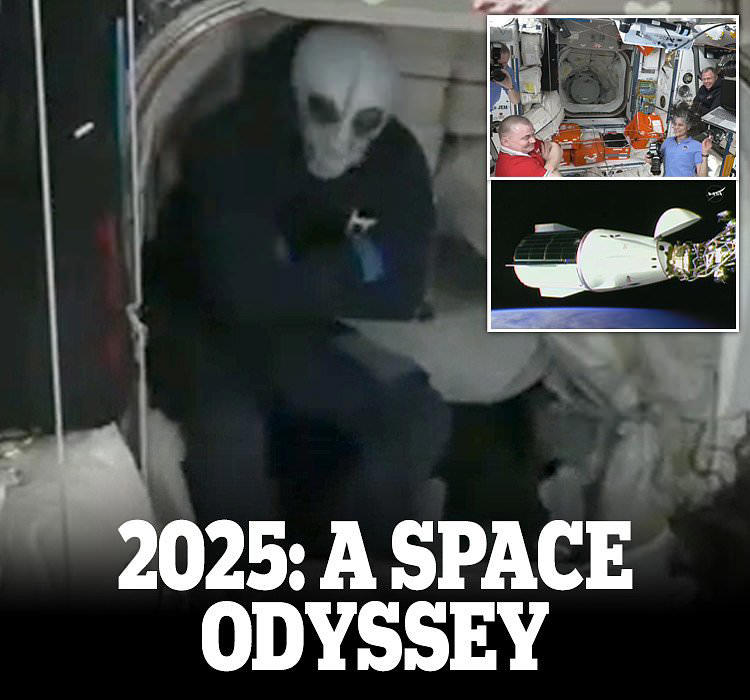 SpaceX crew docks at International Space Station