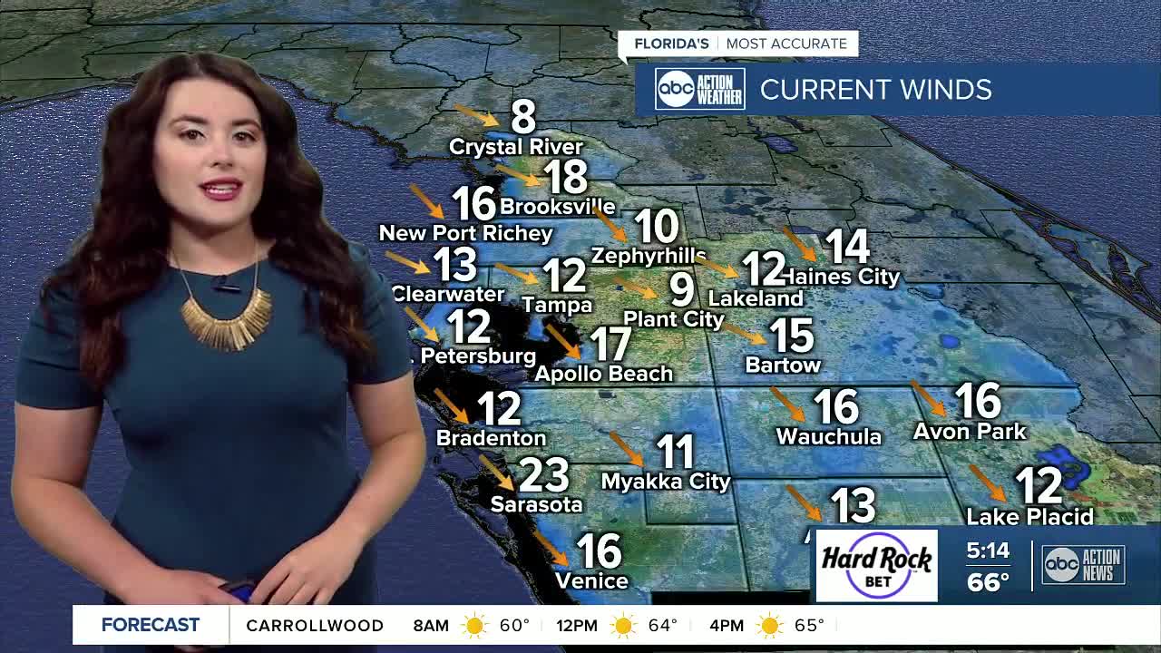 Ally Blake 6AM weather hit