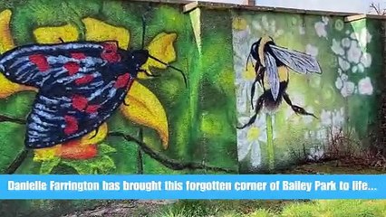 Murals in Bailey Park