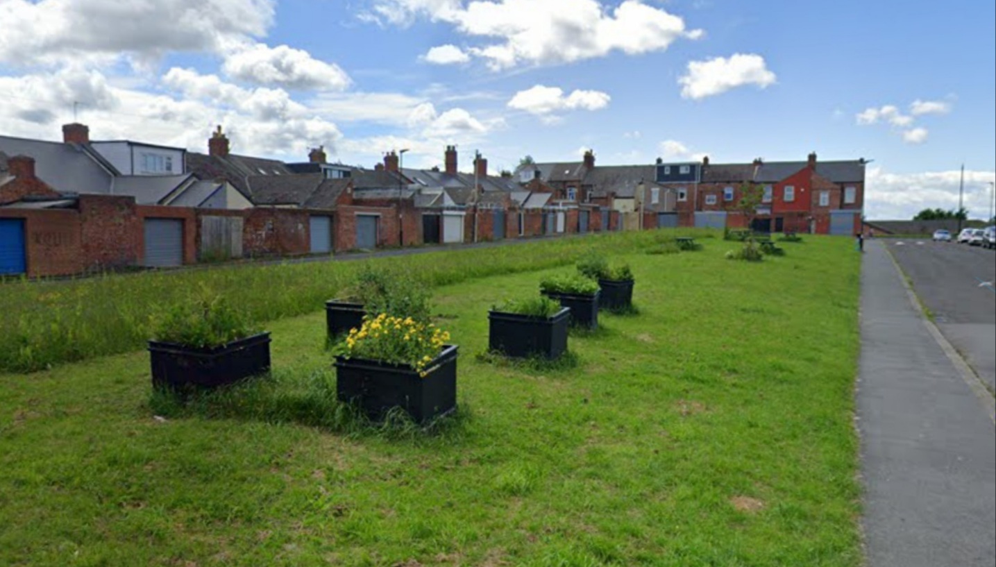 11 new bungalows could soon be built on Southwick green space to ...