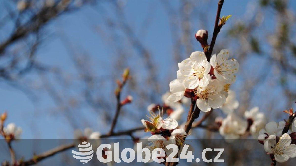 Jarní počasí začne ustupovat létu. Meteorologové nabídli novou ...