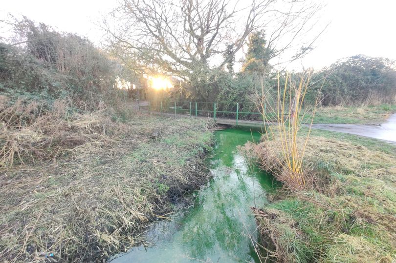 Bright green water spotted in Cambridge brook as public told 'report ...