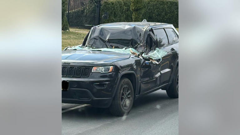Driver injured after high winds topple tree onto car in Potomac