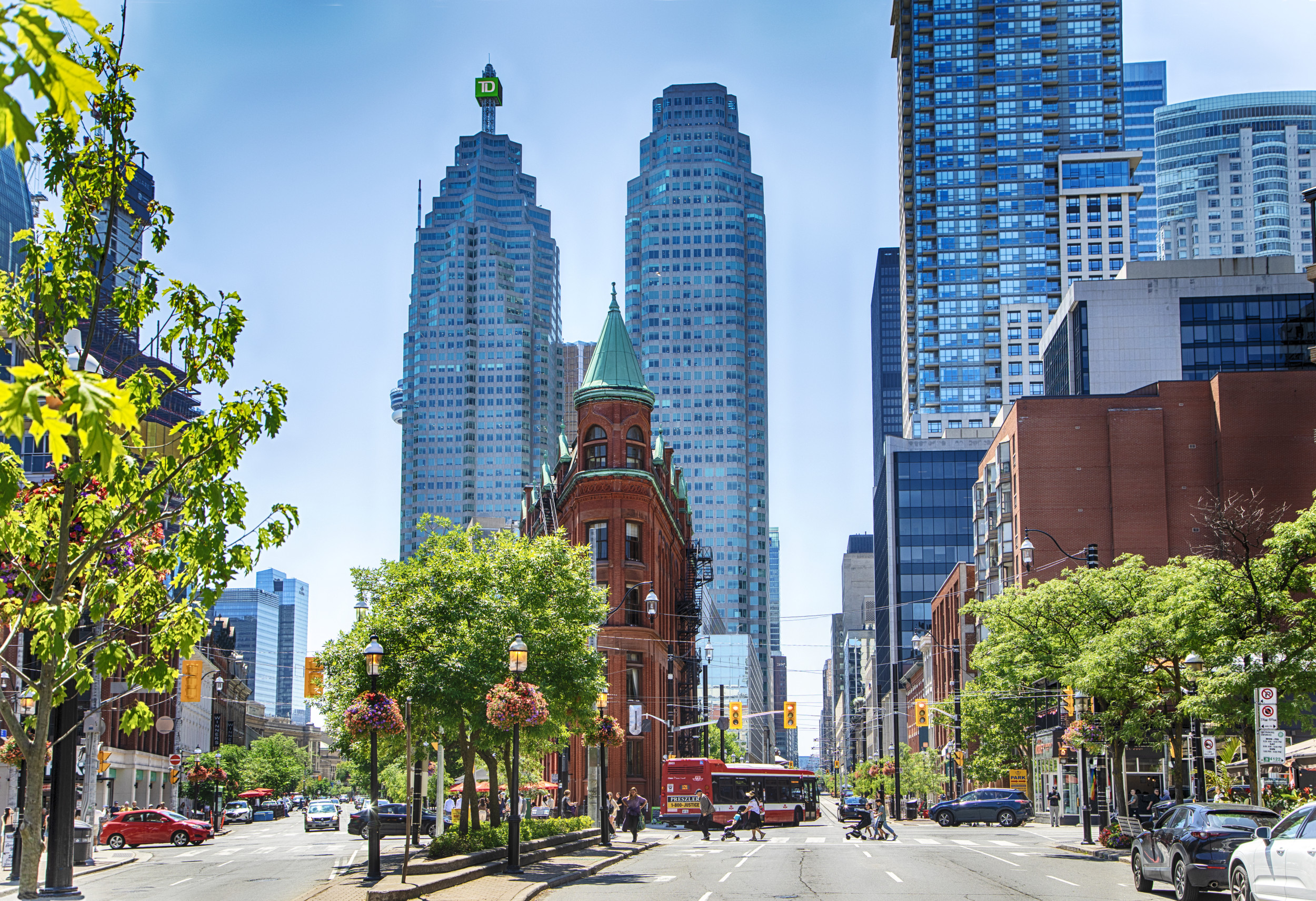 'Random' Tree in Toronto Becomes Viral Tourist Attraction