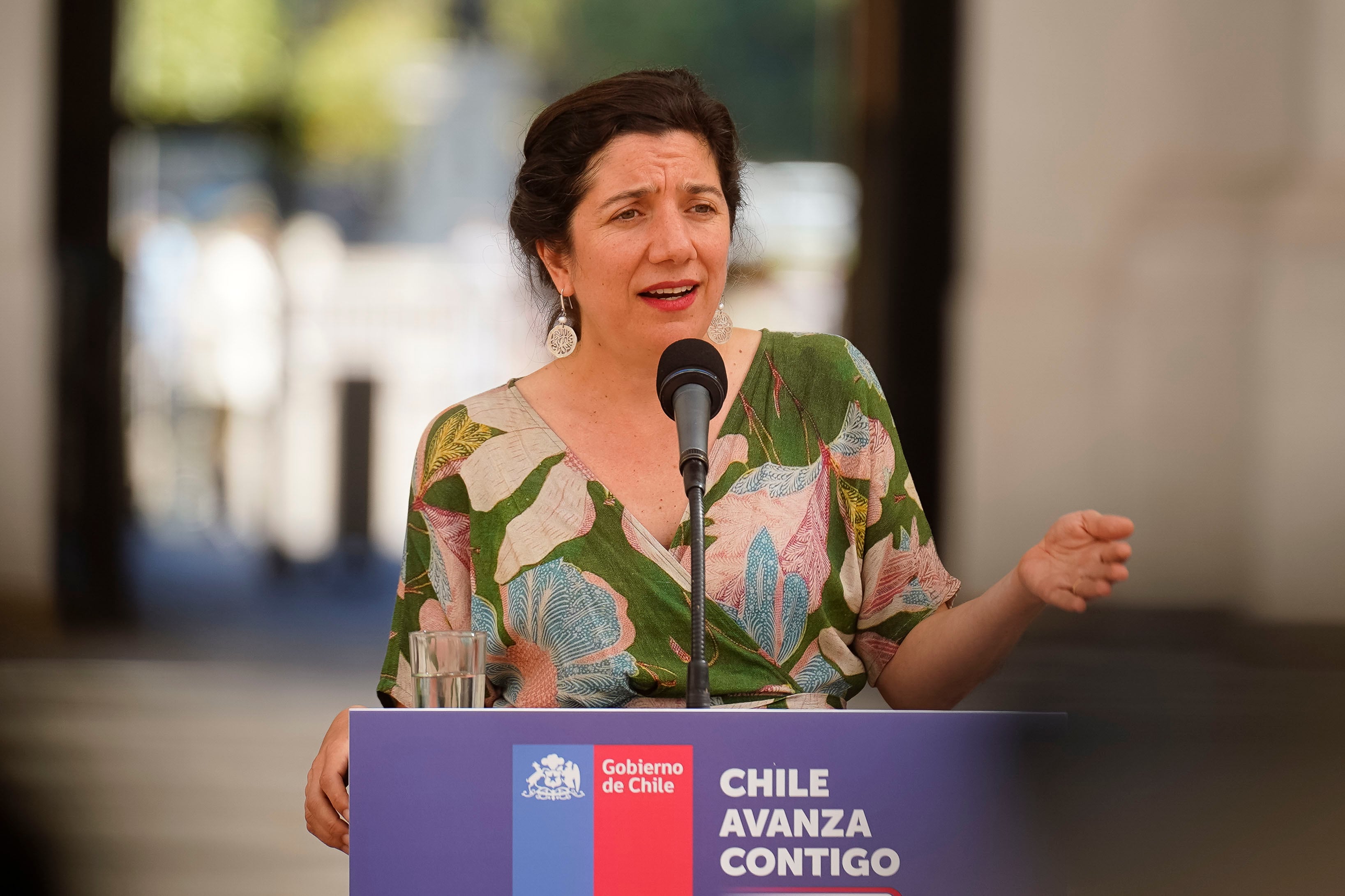 Etcheverry llama a “basarse en evidencia” a Matthei tras su insistencia ...