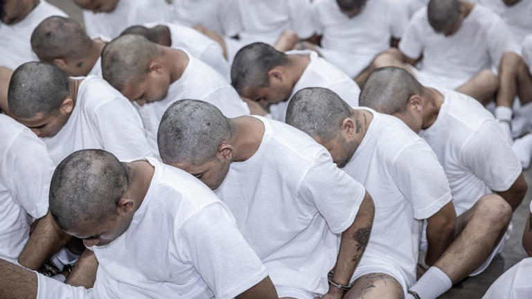 Timeline: Trump's race against courts to deport gang members under ...