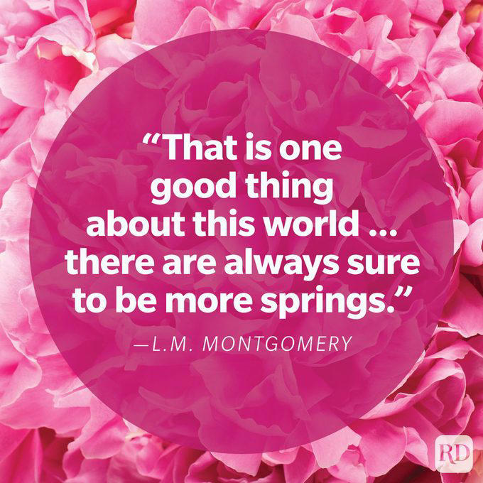 61 cheerful spring quotes that will brighten your day