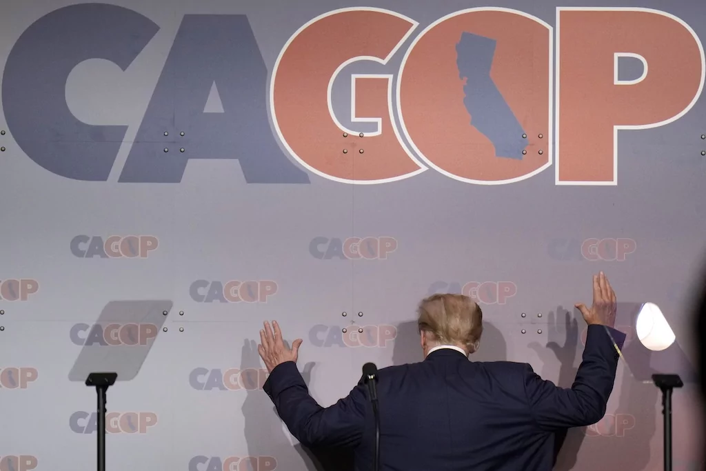 California Republicans optimistic as they elect Corrin Rankin as new ...