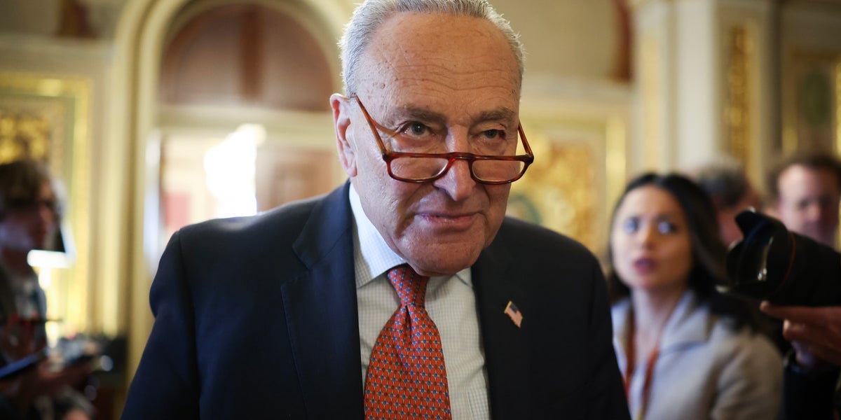 Chuck Schumer Postpones Book Tour Amid Democratic Backlash