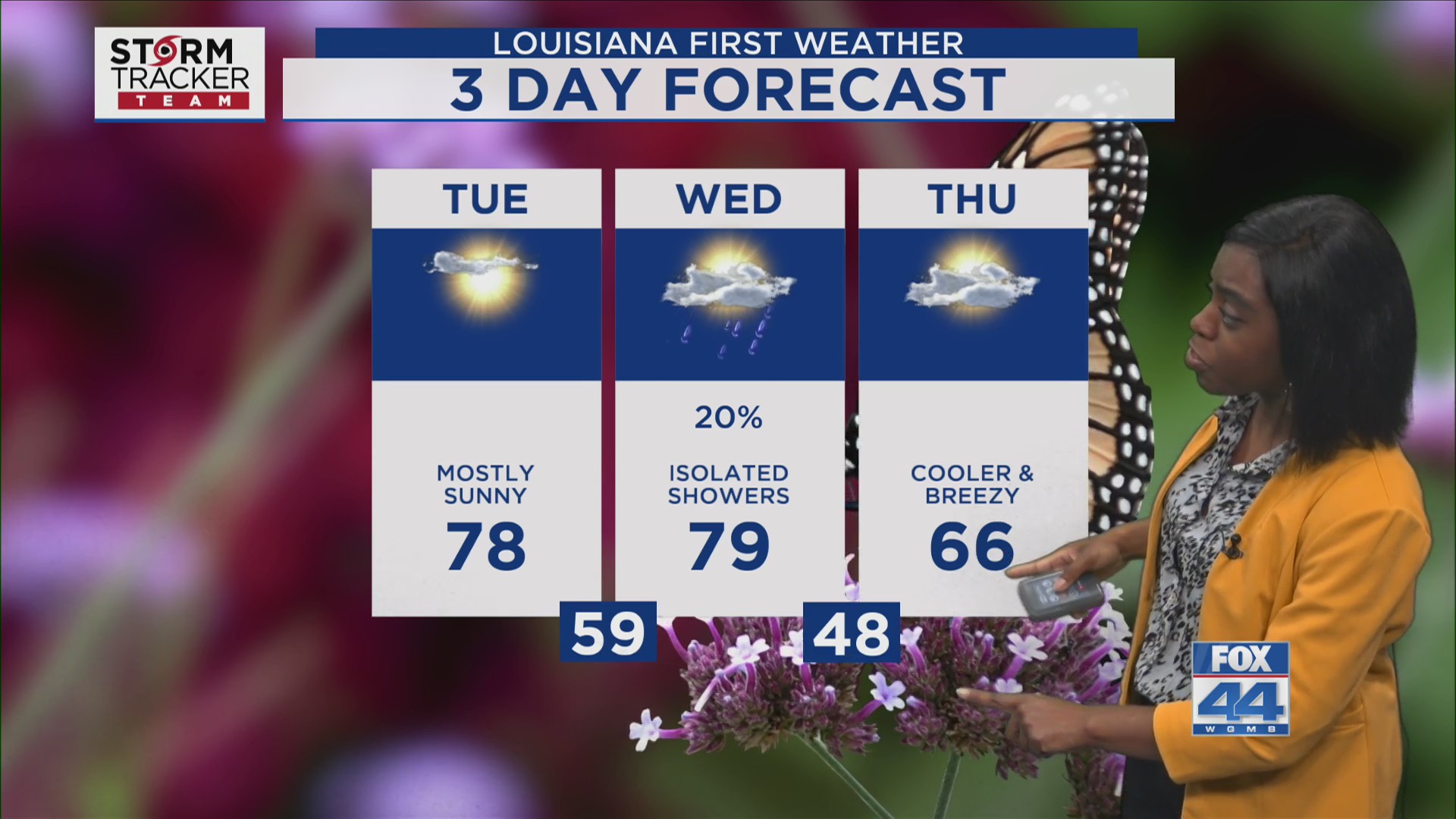 Monday Morning Forecast for Baton Rouge 3-17-25: Beautiful Weather for ...