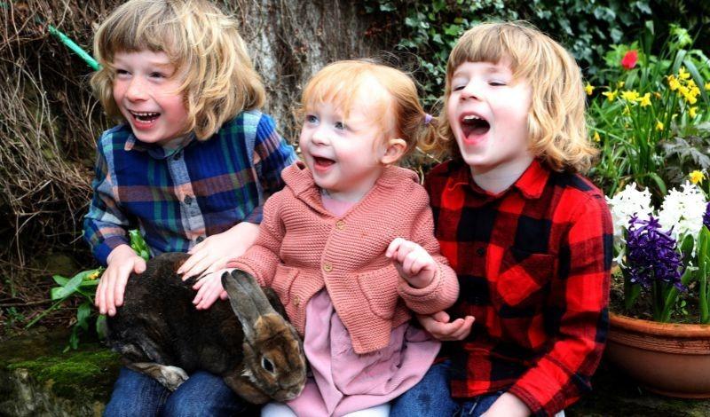 Hop along the Easter Buddies Trail at the Tropical Butterfly House