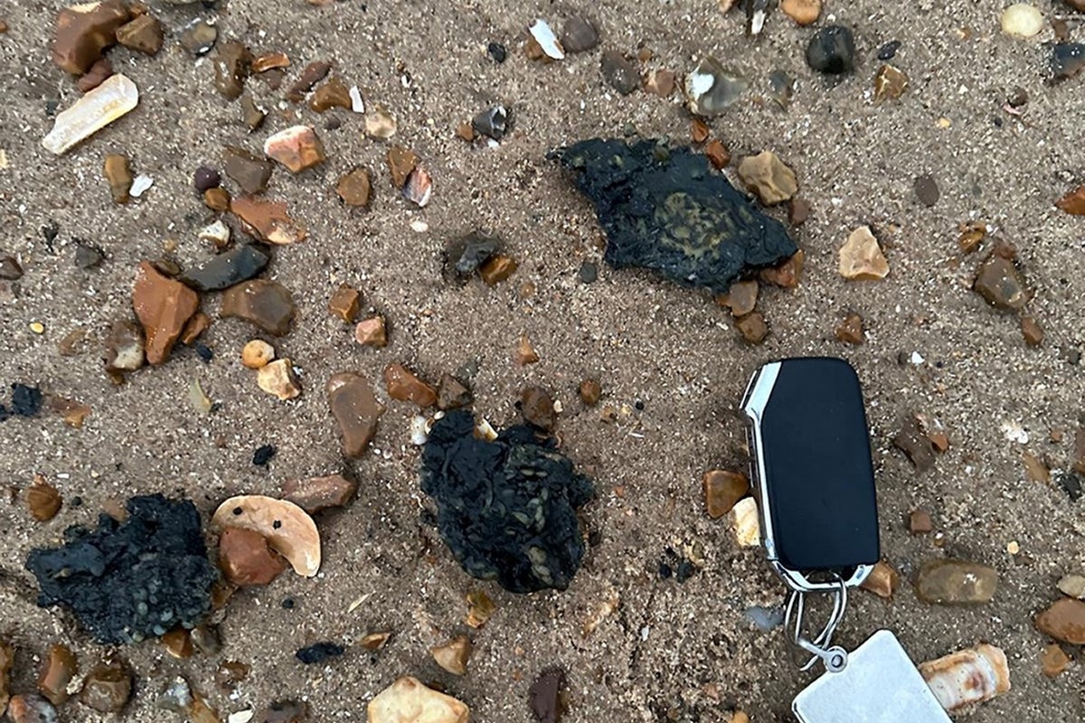 Wildlife at risk after plastic pellets spill into North Sea following ...