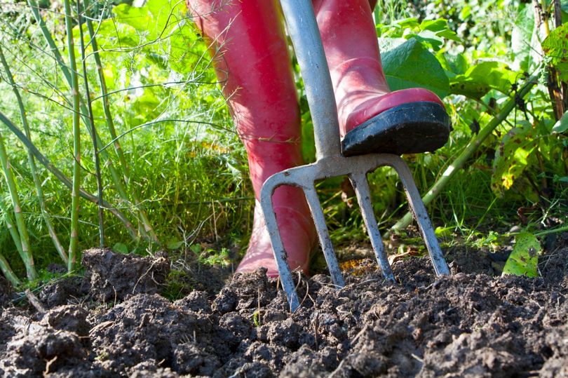 How to turnover your soil and prepare your garden for planting