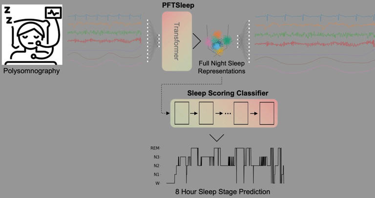 New AI model analyzes full night of sleep with high accuracy in largest ...