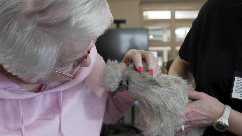 Therapy chickens bring joy to those who need it the most in Dallas
