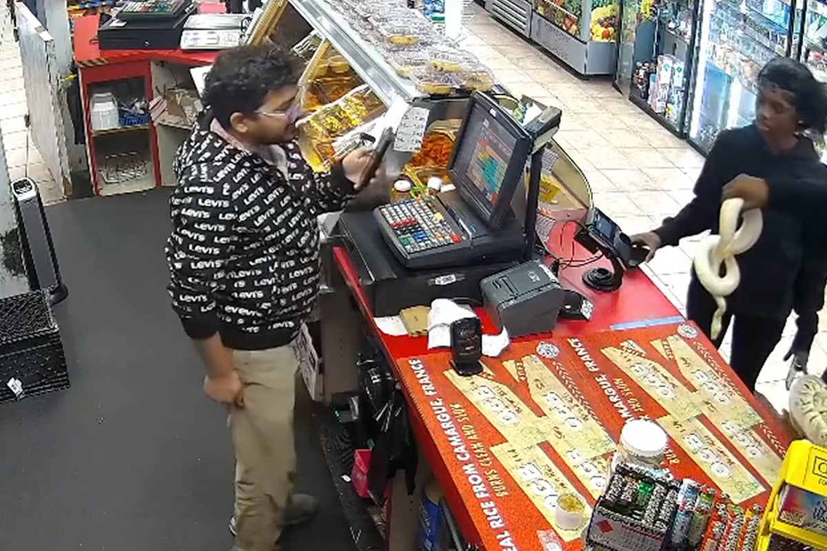 Bizarre moment python-wielding suspects appear to hold up Tennessee ...