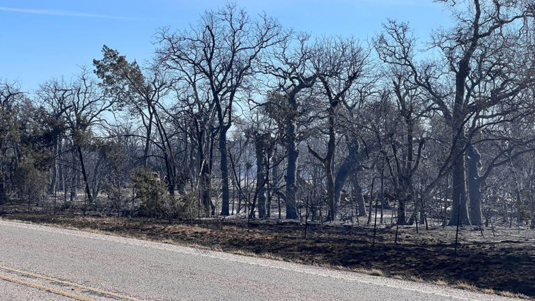 Firefighter injured in 9,700+ acre wildfire near Fredericksburg; fire ...