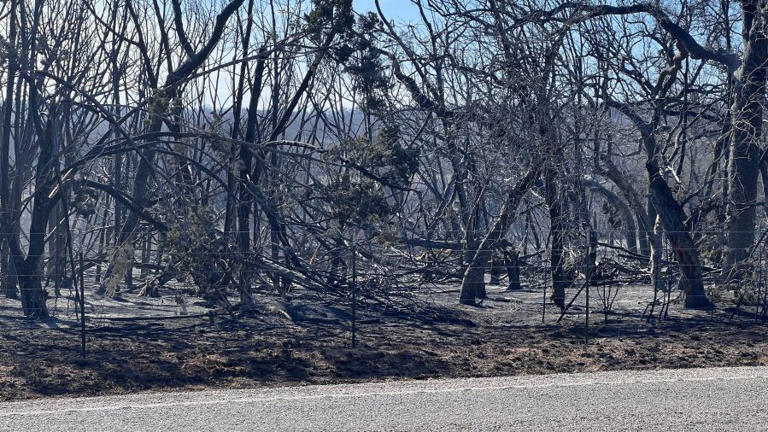 Firefighter injured in 9,700+ acre wildfire near Fredericksburg; fire ...