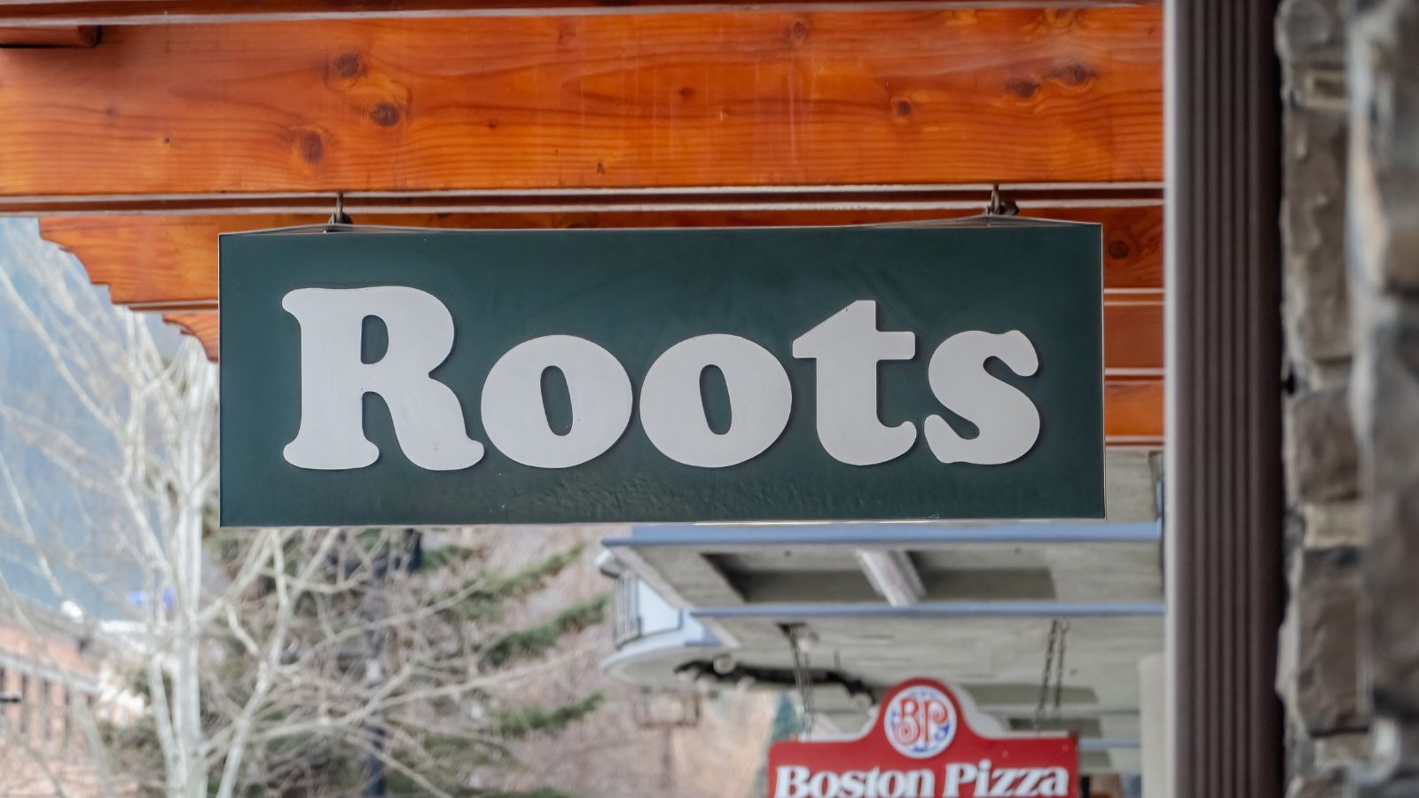 30 Canadian Products That Deserve a Spot in Every Household