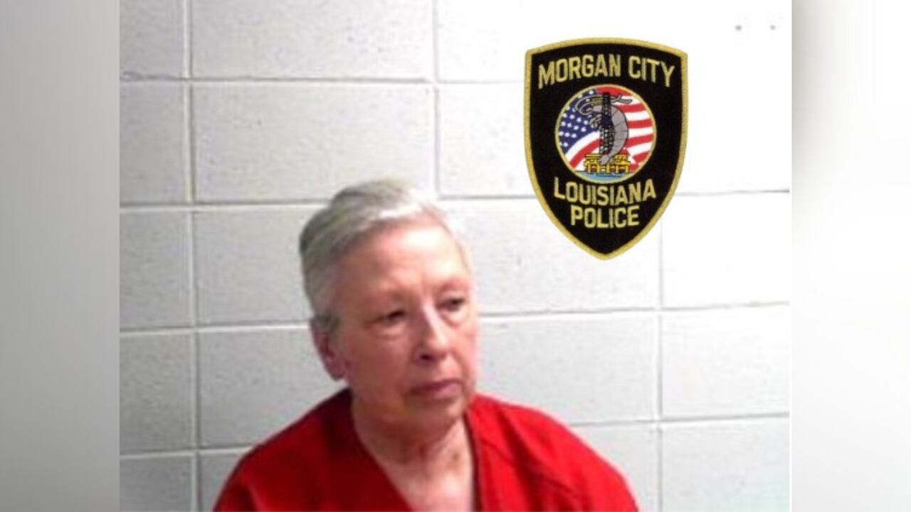 14 dead cats discovered in freezer; woman arrested, police say