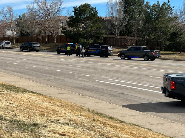 Colorado driver arrested in deadly crash that killed 1 man and his dog ...