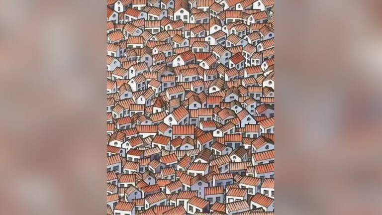 Optical illusion: Only a true animal lover can spot the hidden cat in 8 ...