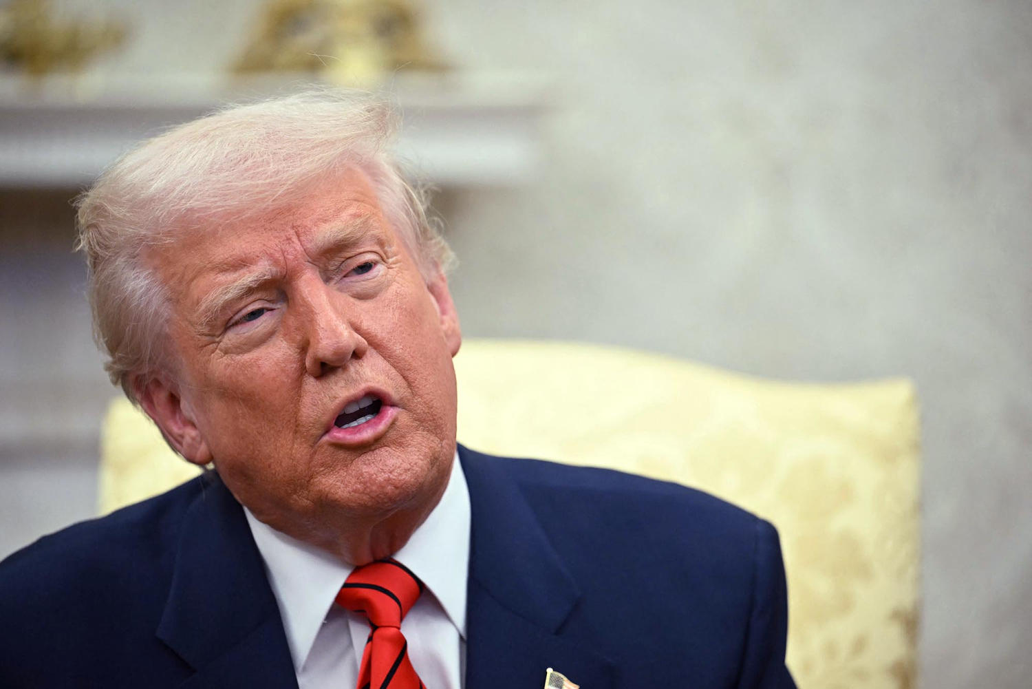 Trump seeks to gut a minority business agency decried by white ...