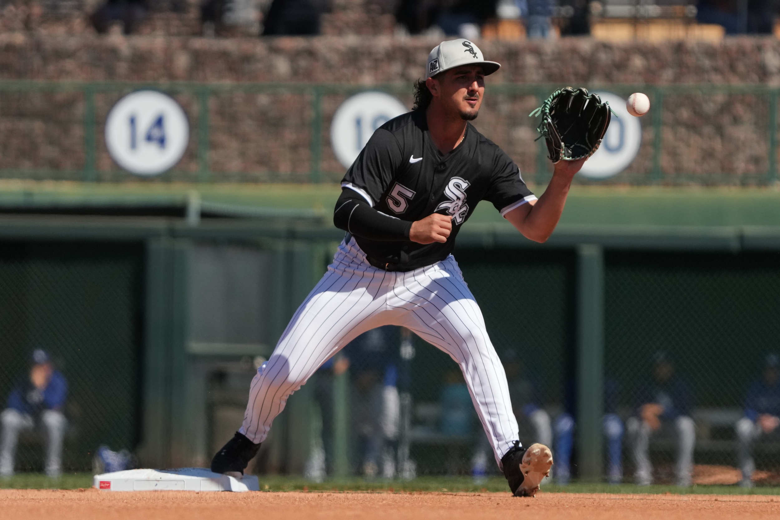 White Sox infielder diagnosed with a hairline fracture in toe
