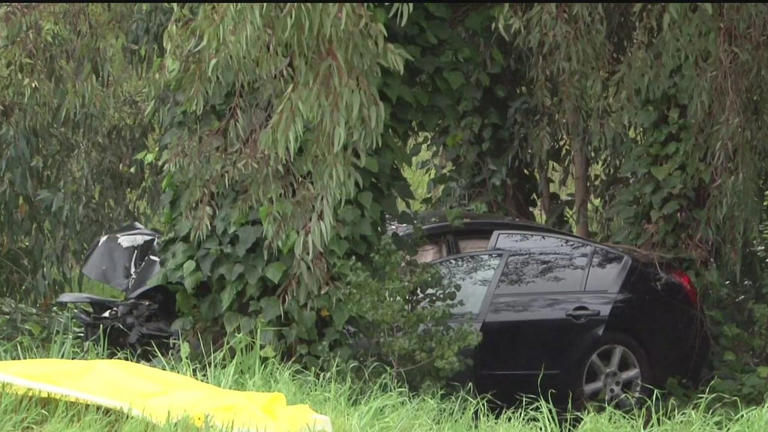 2 children killed in Napa crash, mother arrested on suspicion of DUI 2 children killed in Napa crash, mother arrested on suspicion of DUI