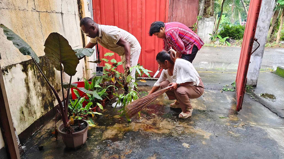 High dengue cases in Negros Occ., Bacolod spark fresh warnings